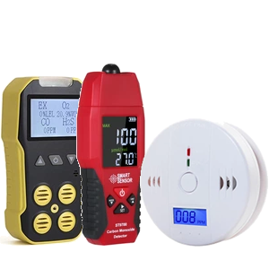 Carbon Monoxide (CO) Detector – Meterport